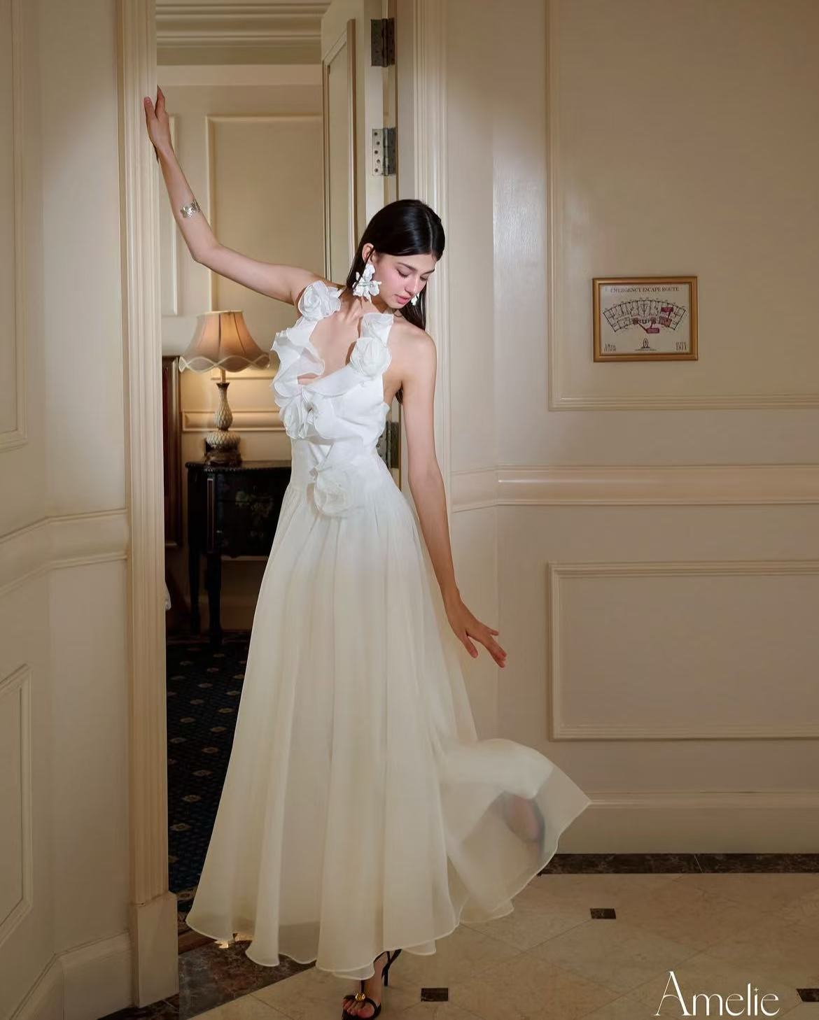 Ameliee Vienna Dress – Basia Mille